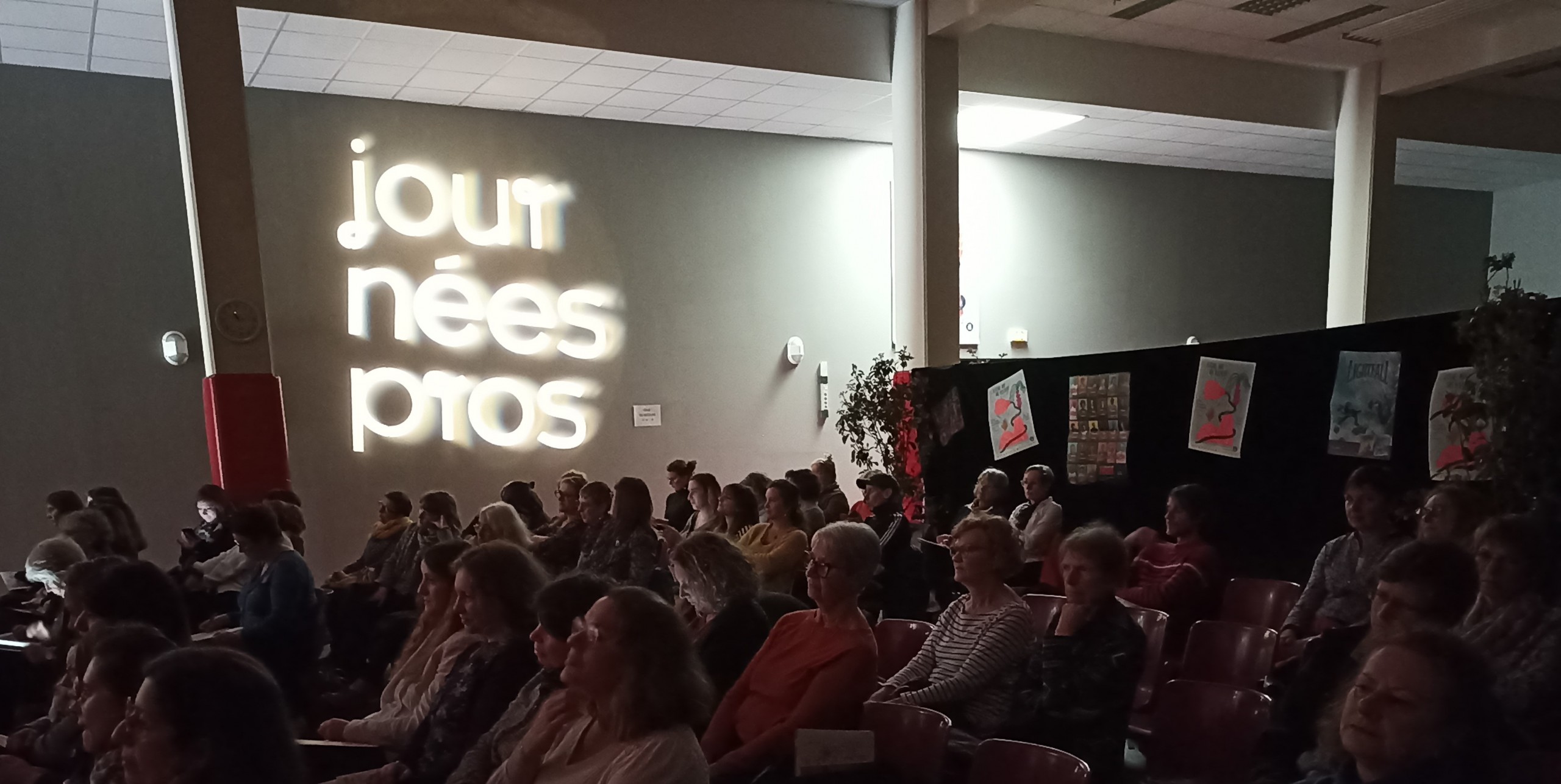 Journées professionnelles - avant programme | Fête du Livre Jeunesse